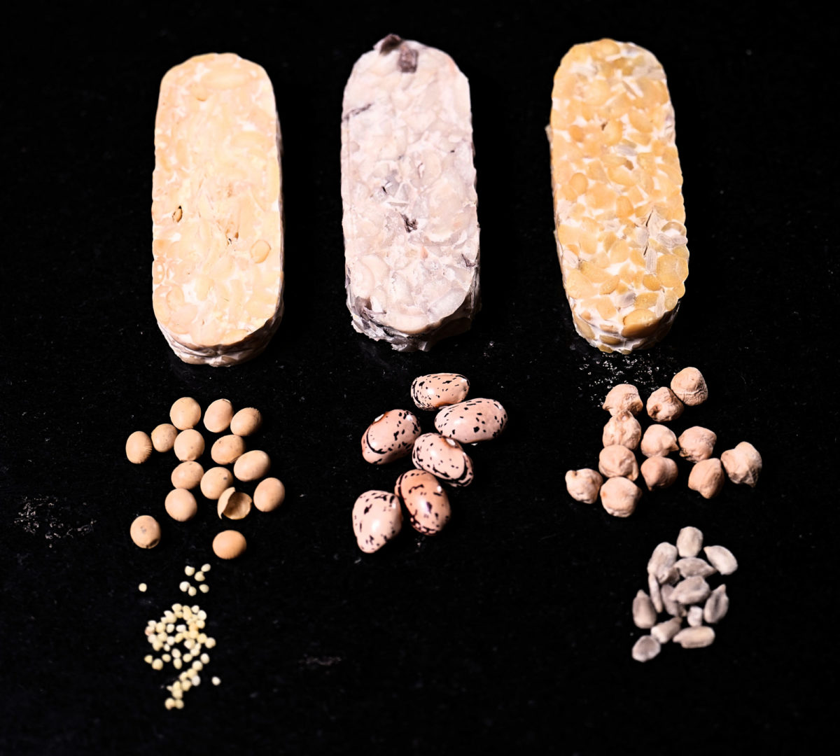 Le Tempeh c'est quoi? • Le Bon Tempeh